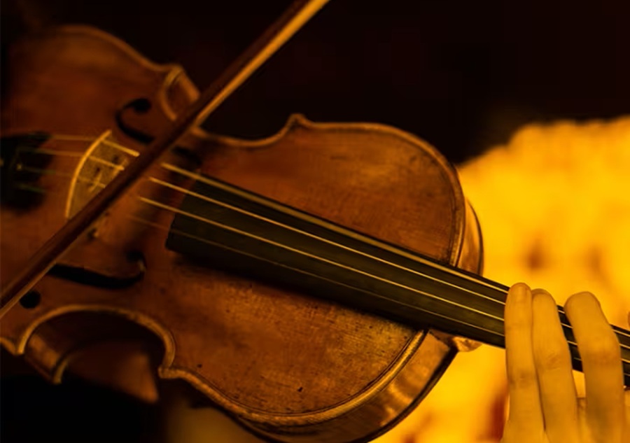 Candlelight: The Best of Outlander in Strings | 2026 Events & Accommodation